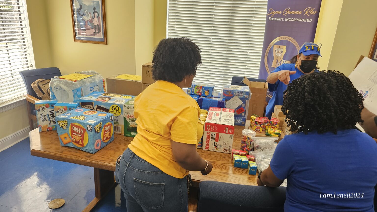 National Programs – Sigma Gamma Rho Sorority, Inc.